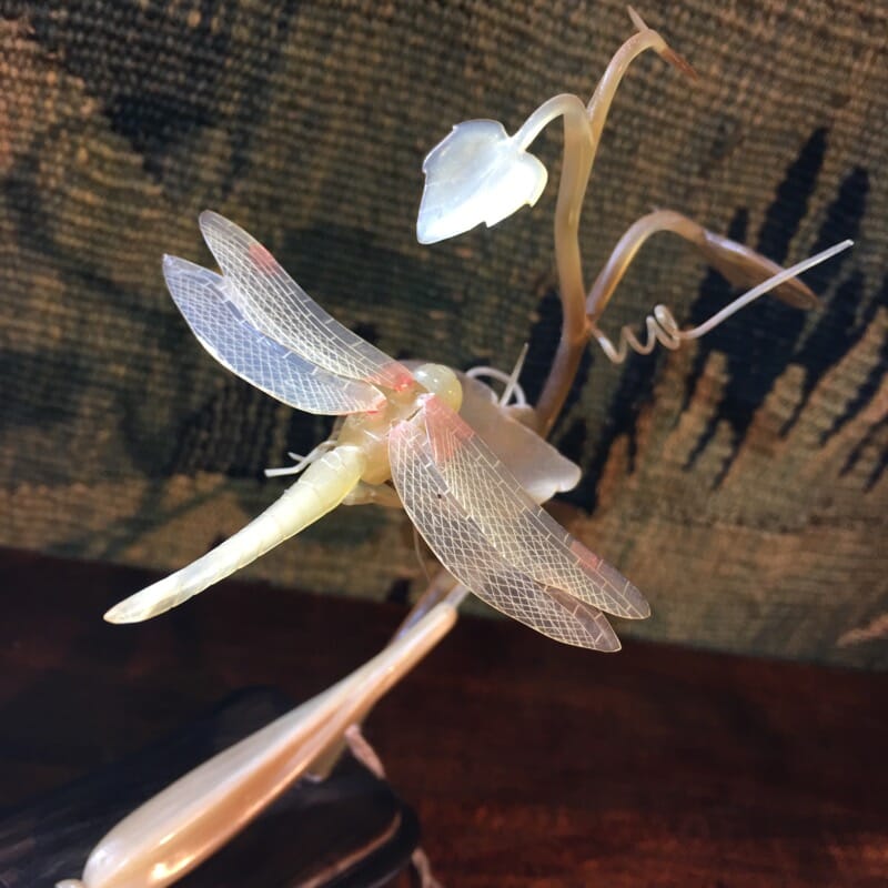 Japanese horn sculpture, dragonfly on gourd plant, c.1900 -28919 ...
