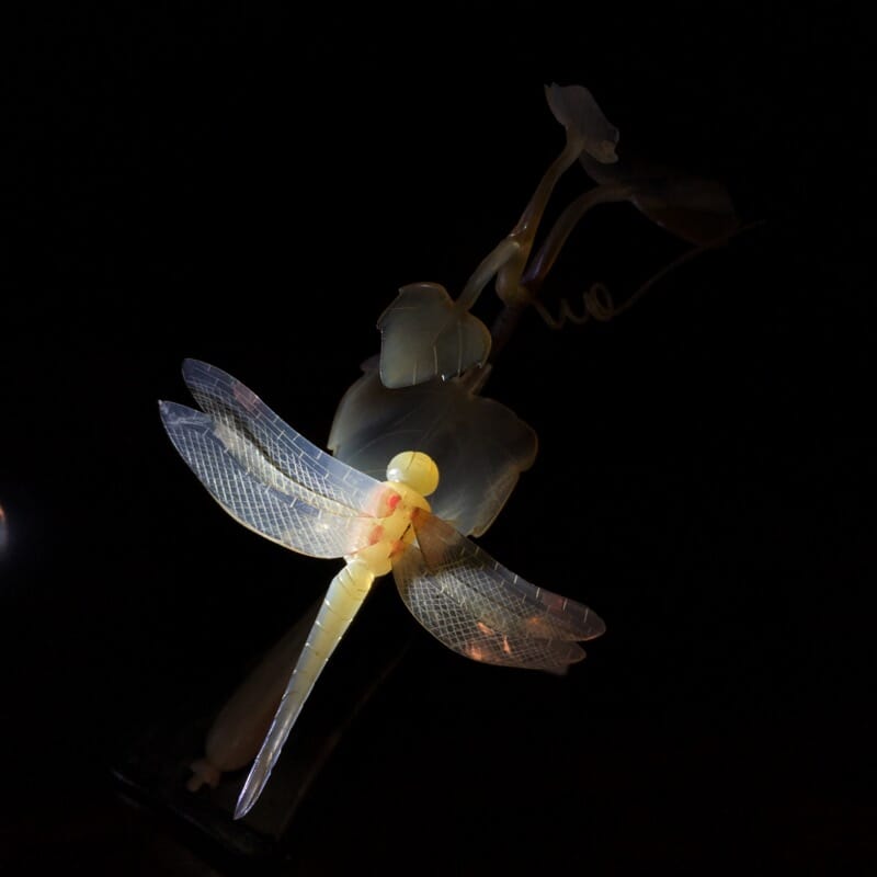 Japanese horn sculpture, dragonfly on gourd plant, c.1900 -28921 ...