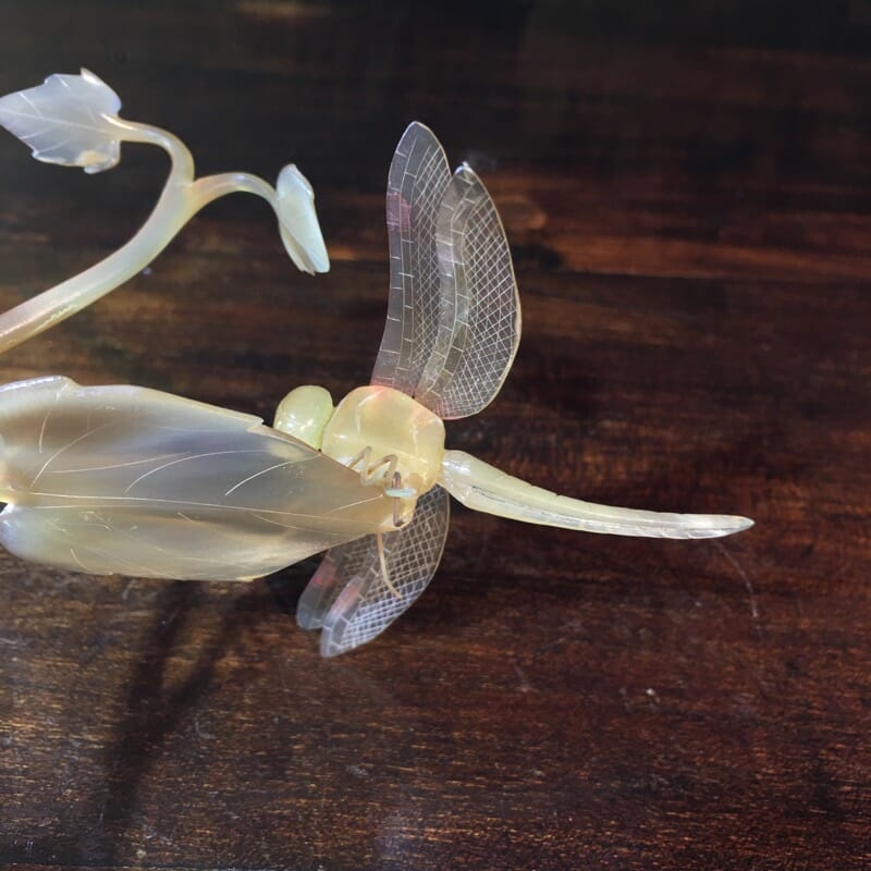 Japanese horn sculpture, dragonfly on gourd plant, c.1900 -28931 ...